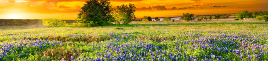 Hope lives in classrooms - Literacy Texas